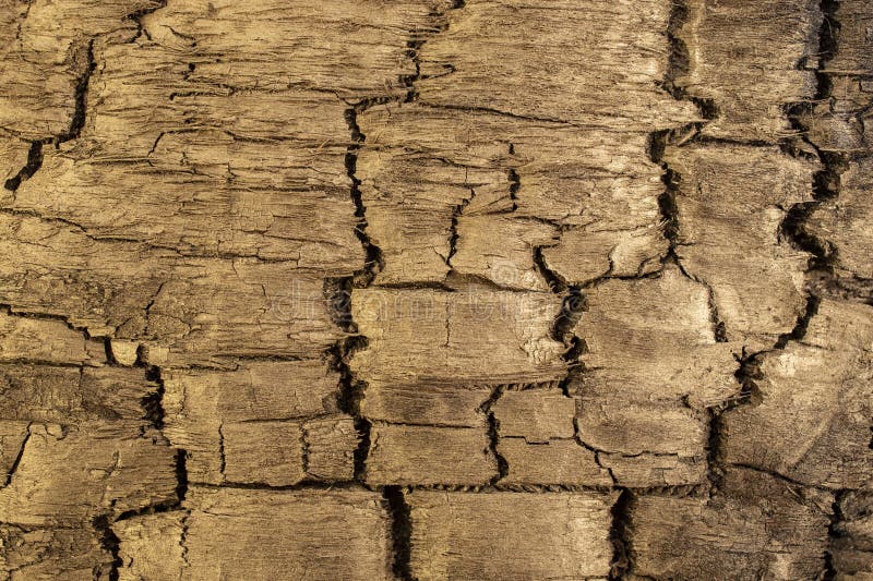 Golden Scorched Texture Surface, Abstract Minimal Backdrop with Copy ...