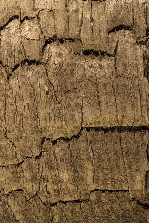 Golden Scorched Texture Surface, Abstract Minimal Backdrop with Copy ...