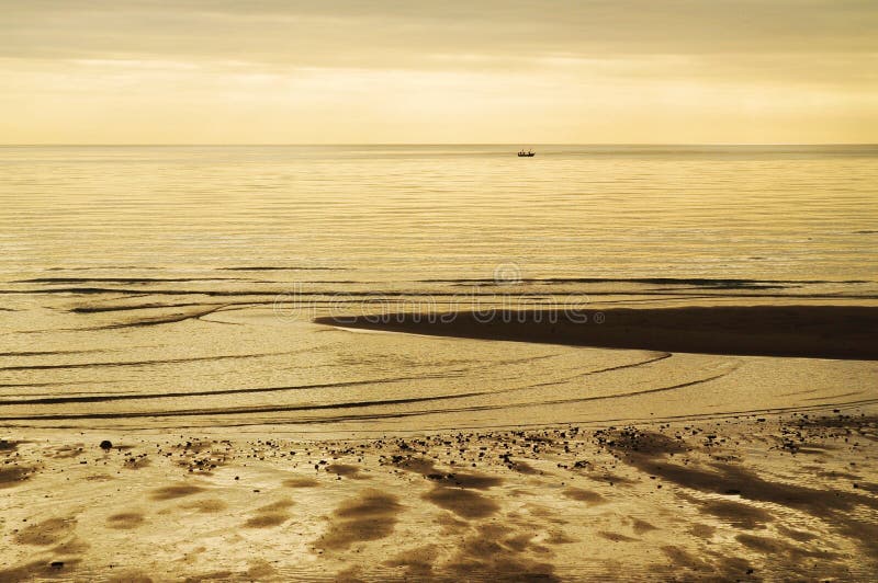 Golden Sea background stock photo. Image of peaceful - 196035008