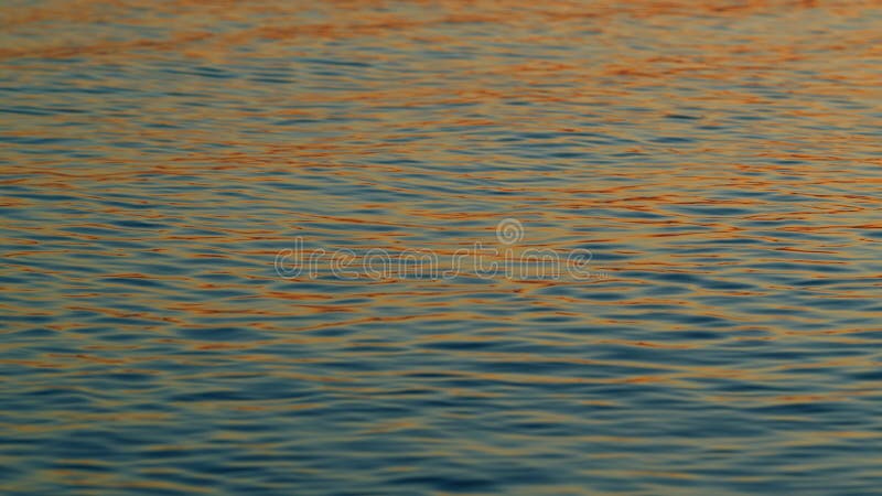 Golden Sea at Sunset. Reflection and Ripples on Sea Water Surface at ...
