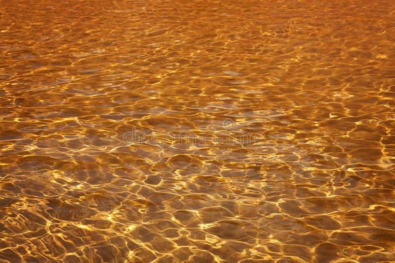 Golden Sea Water stock image. Image of river, yellow - 28667909