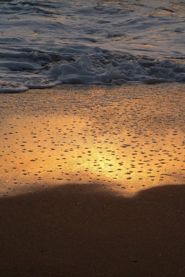 Golden Sea Wave in the Sunset Stock Image - Image of seascape, wave ...