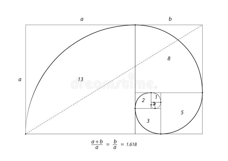 Golden Section Isolated on White Stock Vector - Illustration of black ...