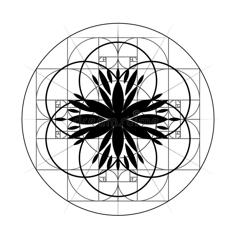 Sacred Geometry. Golden Section. Vector 10 Eps Stock Vector ...