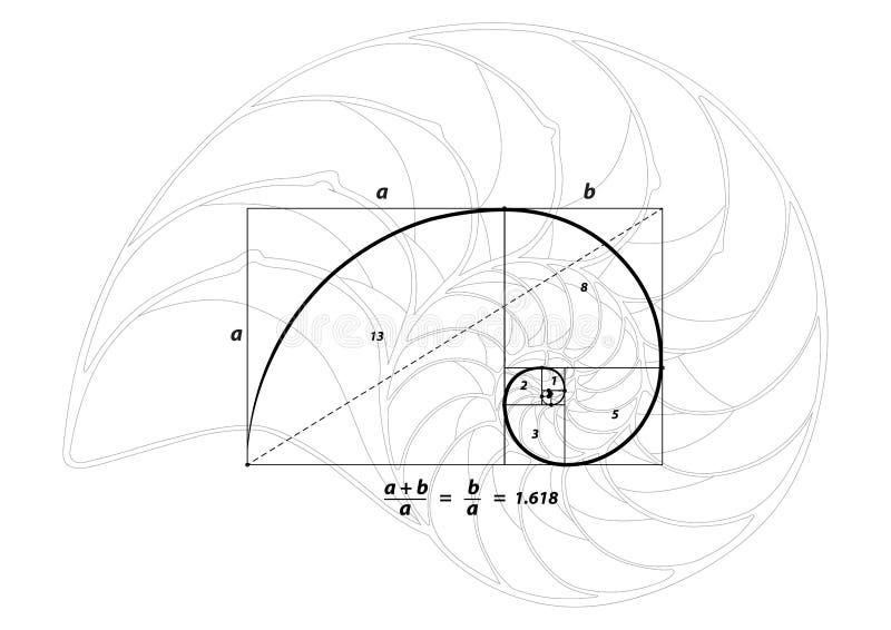 Golden ratio stock vector. Illustration of golden, abstract - 13566814