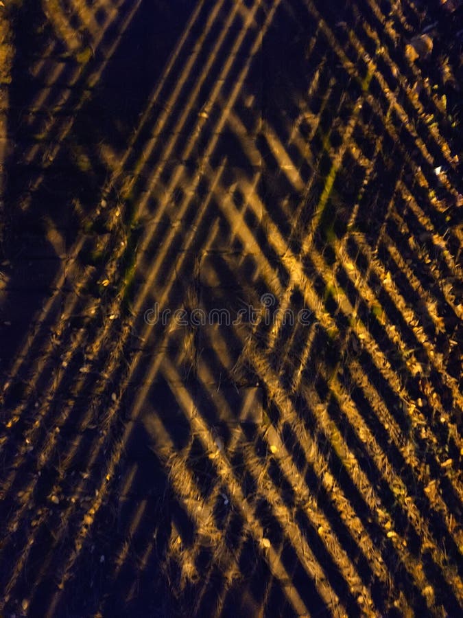 Golden shadow stock photo. Image of reflection, yellow - 269775042