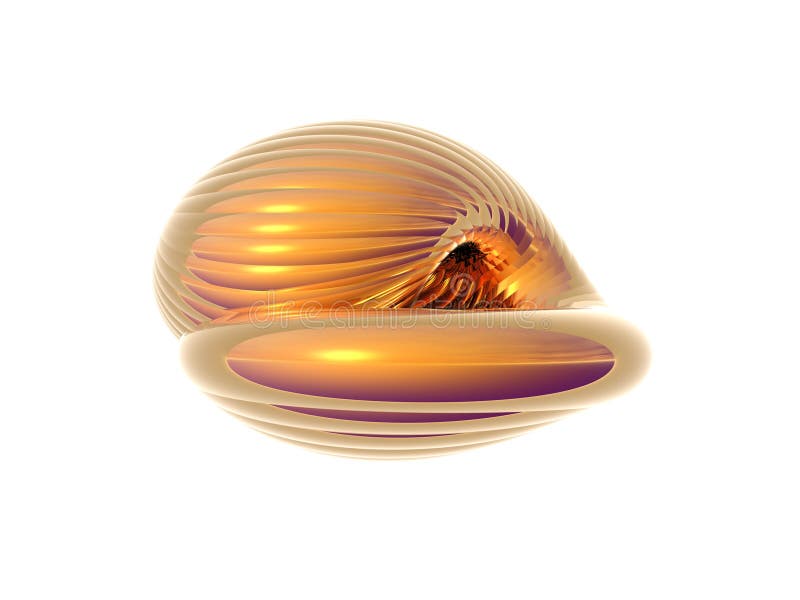 Golden Shell stock illustration. Illustration of inside - 6966673