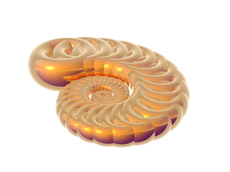 Golden Shell stock illustration. Illustration of shellfish - 6966677