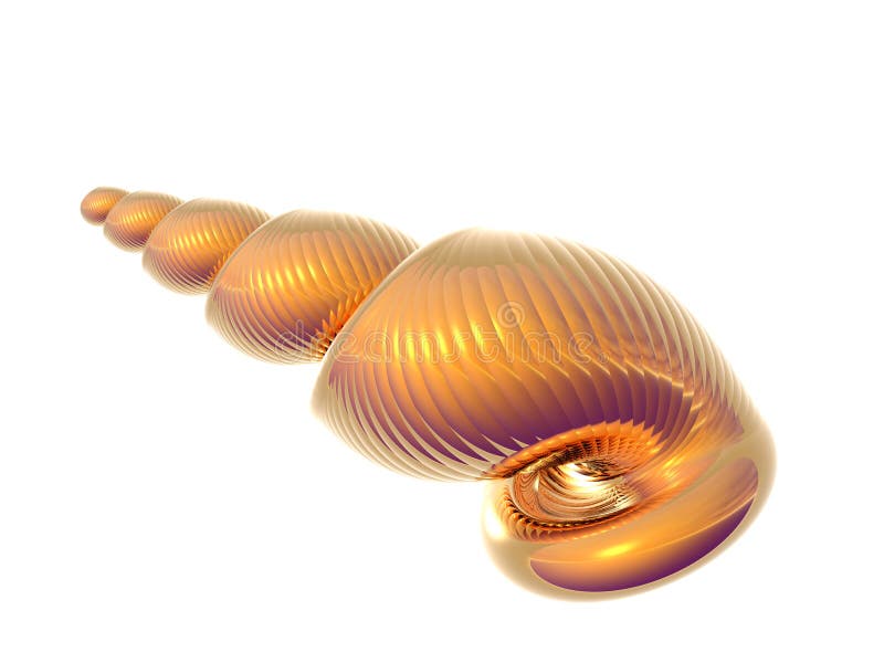 Golden Shell stock illustration. Illustration of shallow - 6966683