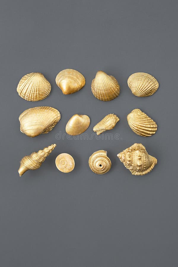 Golden Shells Arranging on Grey Stock Image - Image of reef, ornament ...