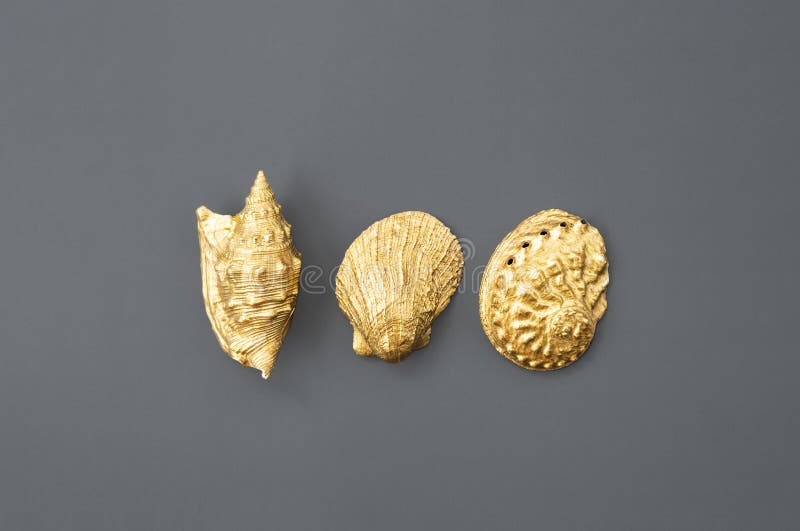 Golden Shells Arranging on Grey Stock Photo - Image of group, discovery ...