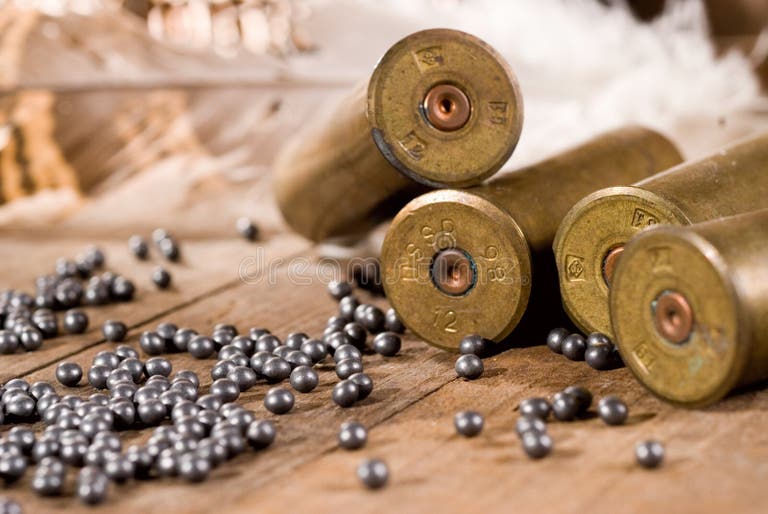 Golden Shot 2 Shotgun Shells Wood Background Stock Photos - Free ...