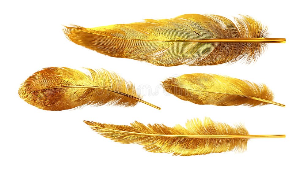 Golden and Silver Feathers on Transparent Background Stock Illustration ...