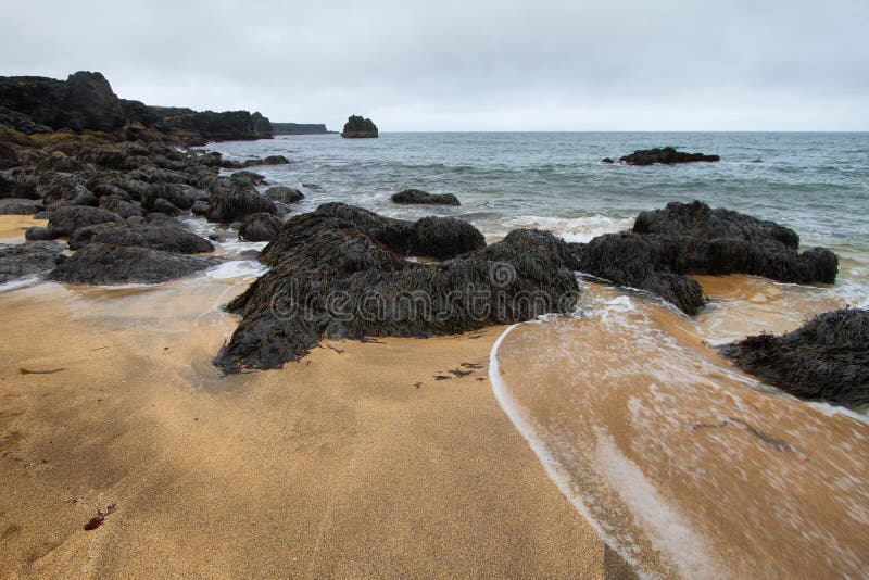 Golden Skardsvik Beach stock image. Image of atlantic - 49803739