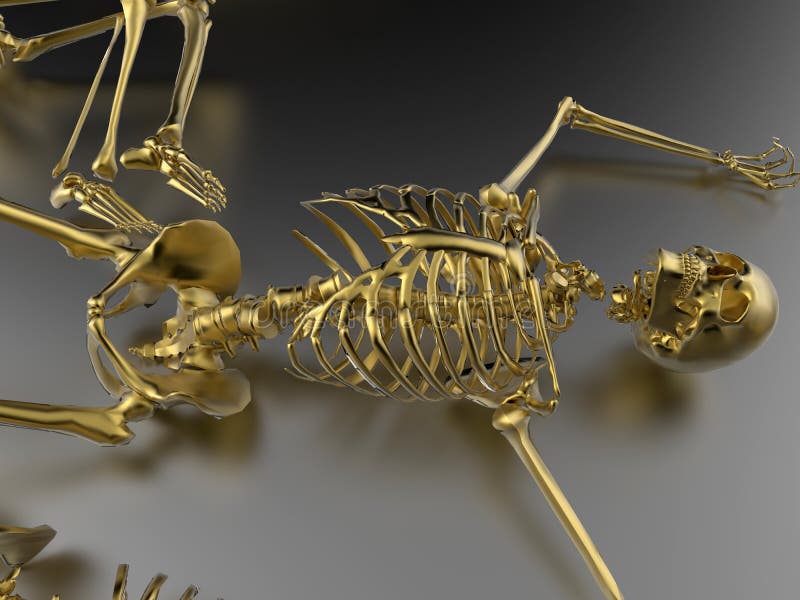 Human Skull Bones Frontal View Stock Illustration - Illustration of ...