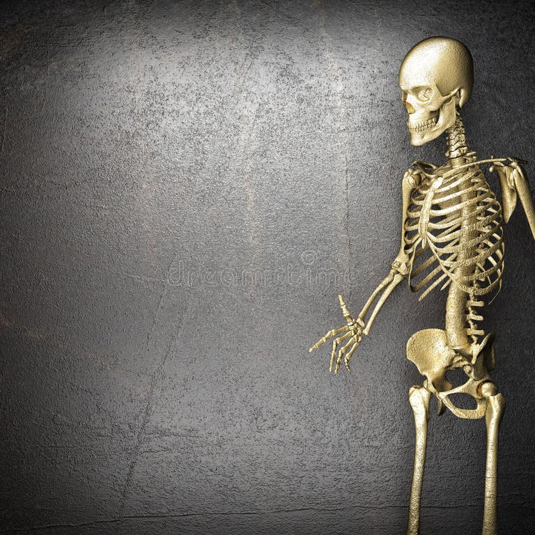 Golden skeleton stock illustration. Illustration of rust - 31481679