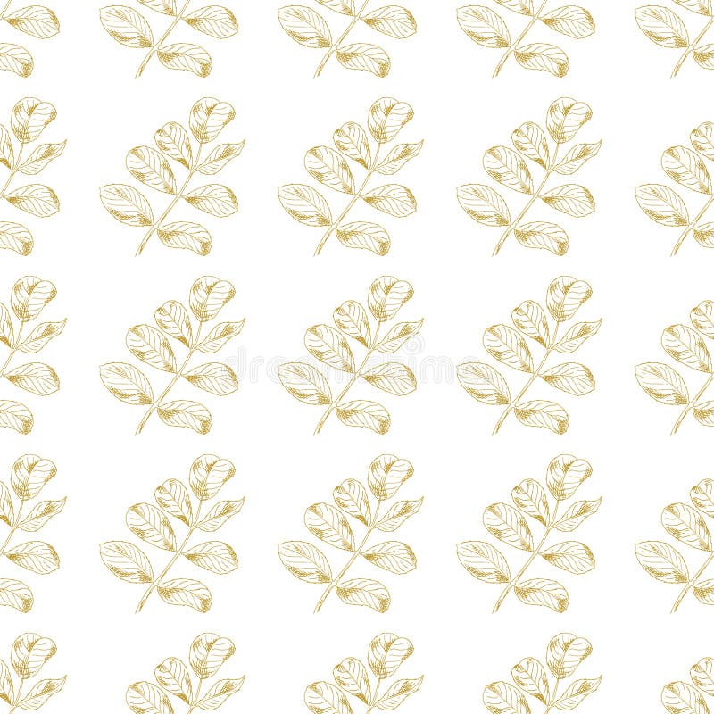 Golden Sketch Briar Decor Seamless Pattern Stock Vector - Illustration ...