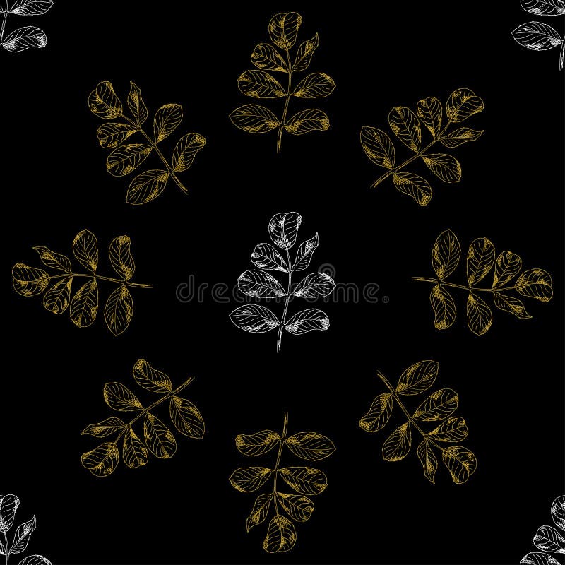 Golden Sketch Briar Decor Seamless Pattern Stock Vector - Illustration ...