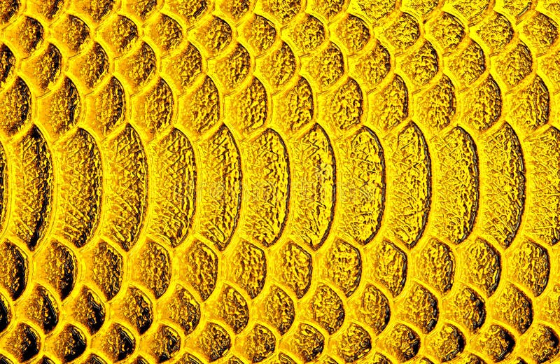 Golden Snake Skin, As a Background Stock Image - Image of crocodile ...