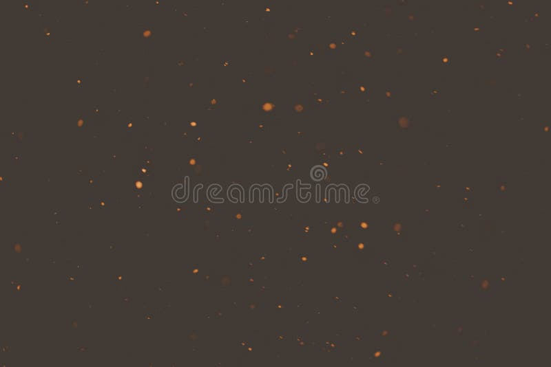 Golden Snowfall stock photo. Image of snow, gentle, gold - 66092310