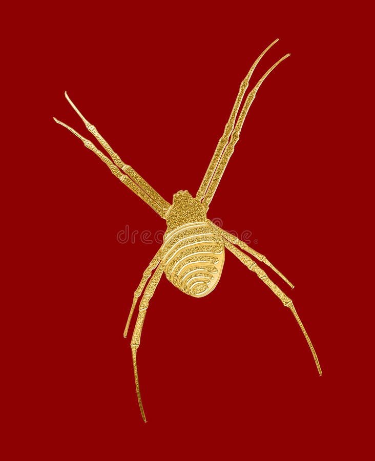 Golden Spider Stock Illustrations – 941 Golden Spider Stock ...