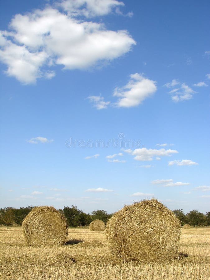 Golden straw barn stacked stock photo. Image of environment - 80022380
