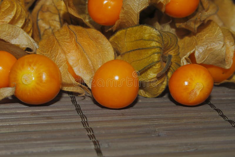 Golden Strawberry (Physalis) Stock Photo - Image of chinese, harvesting ...