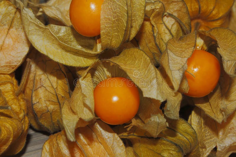 Golden Strawberry and Cherry Tomato Together Stock Image - Image of ...