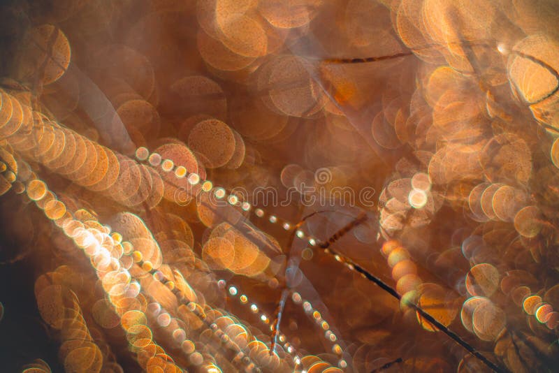Golden Streamers with Sparkling Glitter - Christmas Holidays Background ...