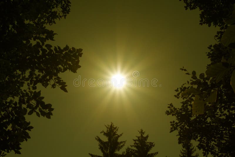 Golden Sun stock image. Image of sunny, deep, color, hope - 1343509