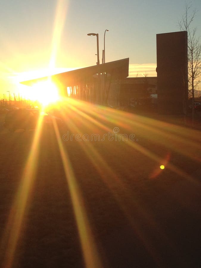 Golden sun stock image. Image of afternoon, golden, light - 106508631