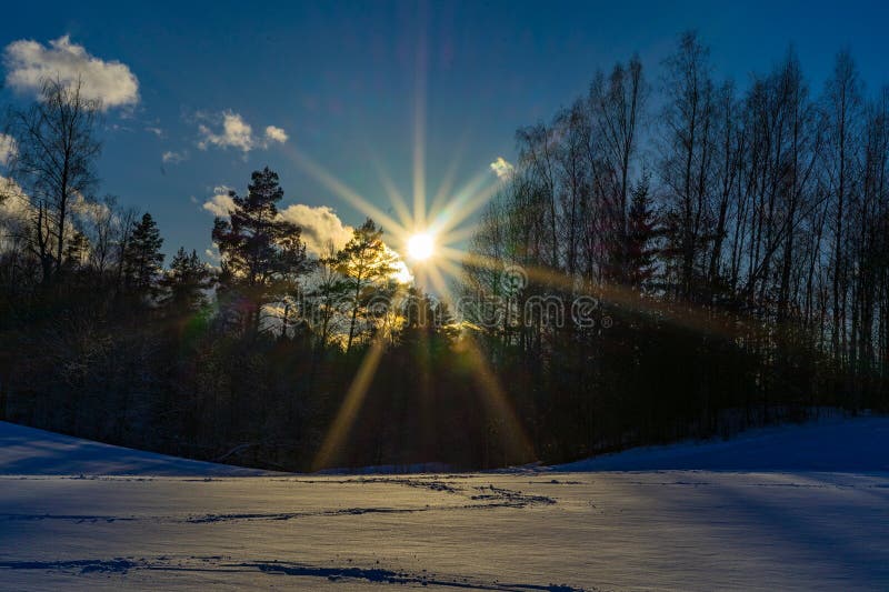 Golden Sunlight Bursting Winter Trees Stock Photos - Free & Royalty ...