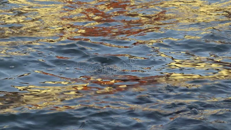 Abstract Nature. Golden Sunlight Water Reflection of House. Shark ...