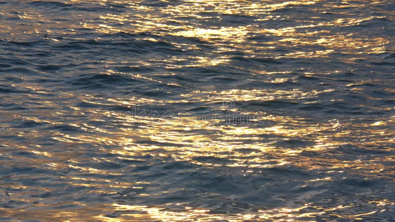 Golden Sunlight Reflecting on Calm Sea Waves in Slow Motion Stock Video ...