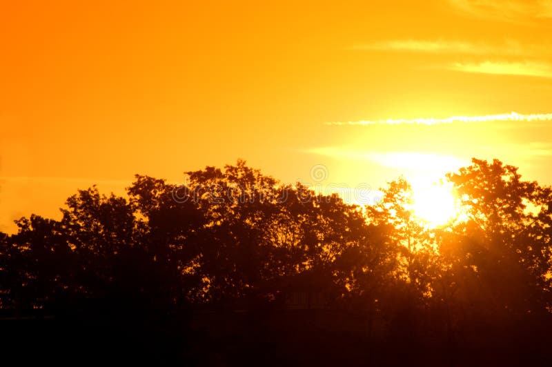 Golden Sunrise stock photo. Image of horizon, nature - 28290340