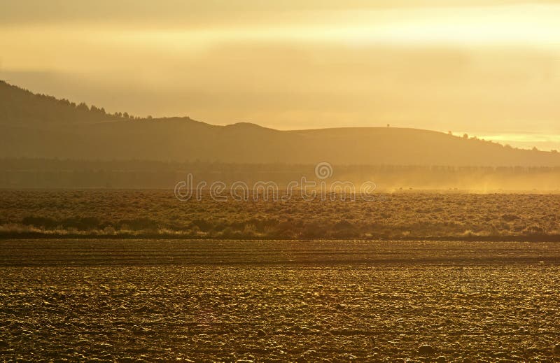 Golden Sunrise Light on Fields Stock Photo - Image of people ...