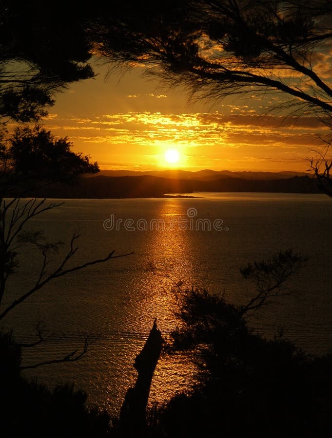 Golden sunset. stock photo. Image of paradise, range, ocean - 1349650