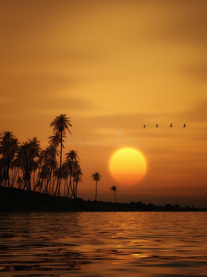 Golden sunset stock photo. Image of light, blue, beach - 2914592