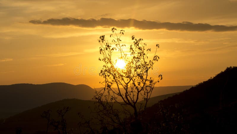 Golden sunset stock image. Image of nature, sunset, eastern - 101934291
