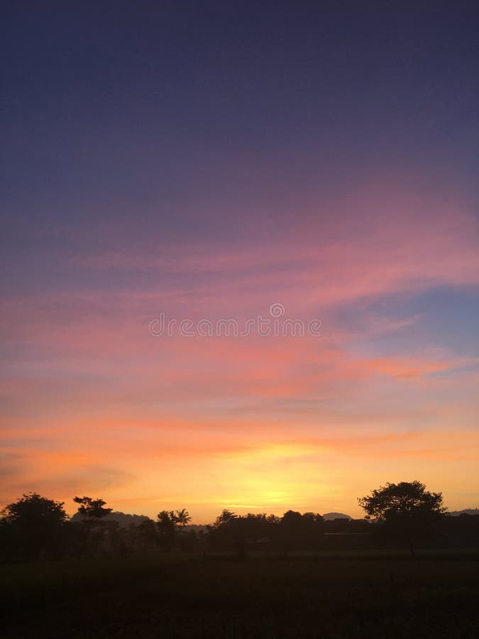 Golden sunset stock photo. Image of landscape, sunset - 262095522