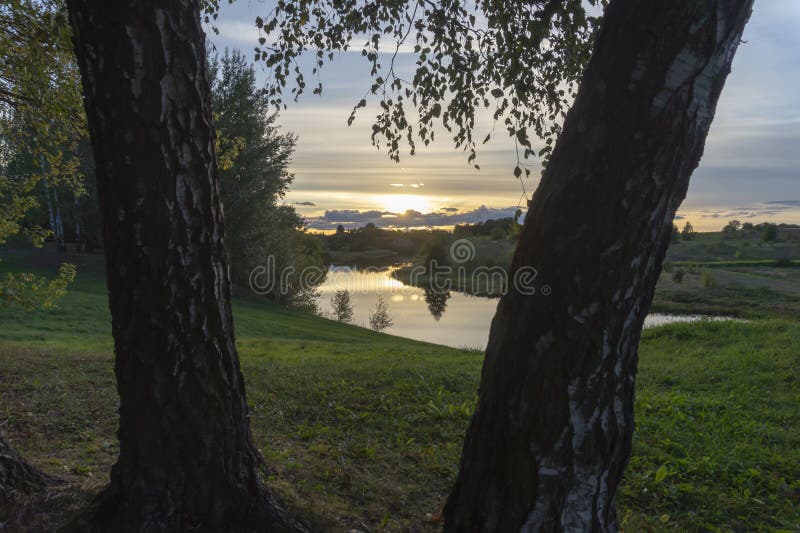 Golden Sunset and Clouds through Birch Trees Stock Image - Image of ...