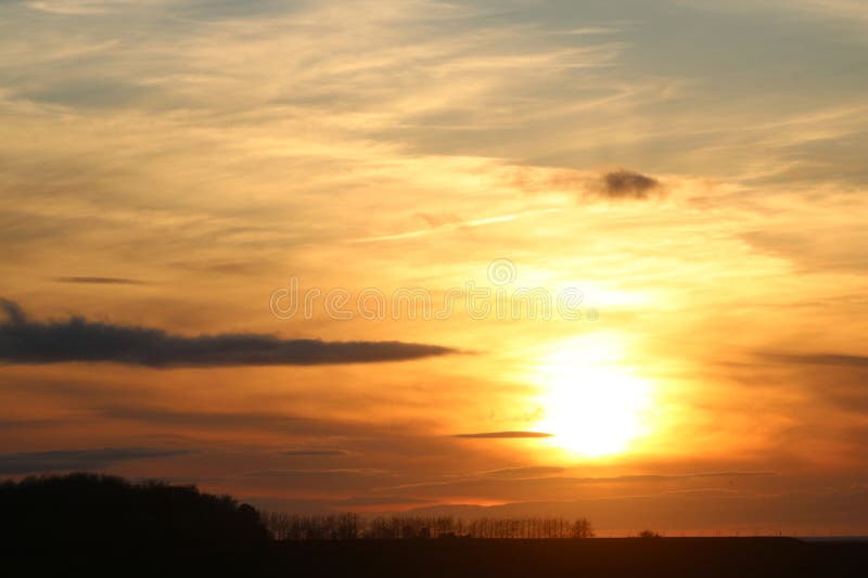 Golden Sunset with Clouds and Tree Silhouettes Stock Image - Image of ...