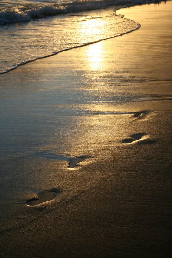 Golden Sunset Foot Prints on Beach Stock Image - Image of trip, shore ...