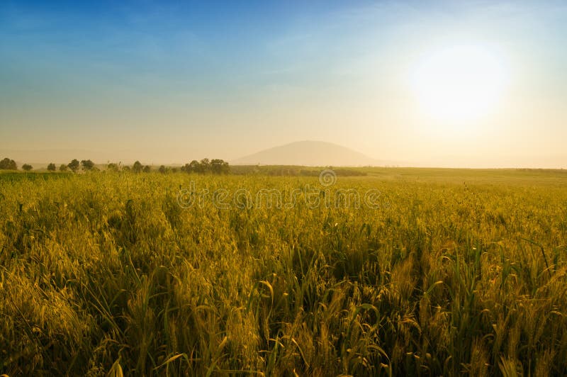 Golden Sunset on the Mount Tabor Stock Image - Image of landscape, land ...