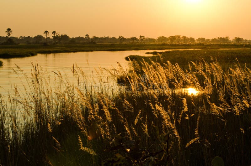 Sunset Over the Okavango Delta in Botswana Stock Photo - Image of ...