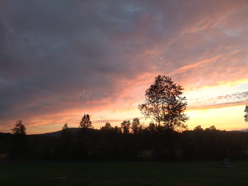 Golden Sunset Over the Forest Stock Image - Image of trop, forest ...