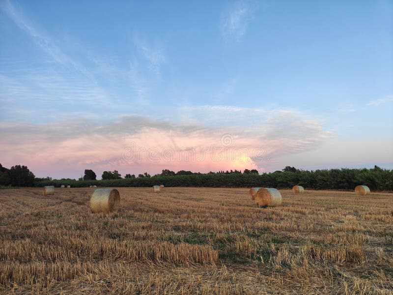 Golden Sunset Over the Green Field with Hay Stock Photo - Image of ...