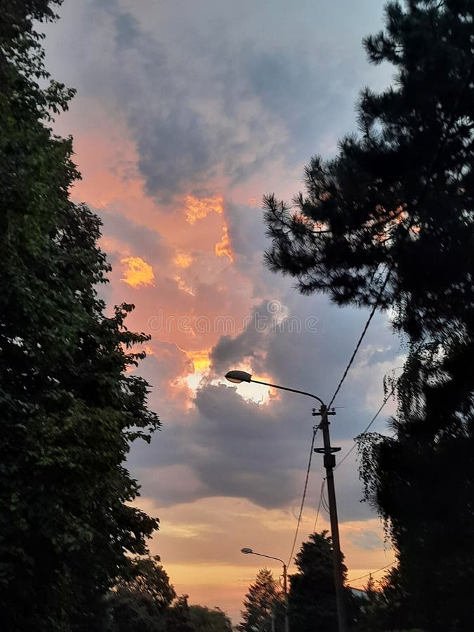 Golden Sunset Over the Trees and Street Lights Stock Image - Image of ...
