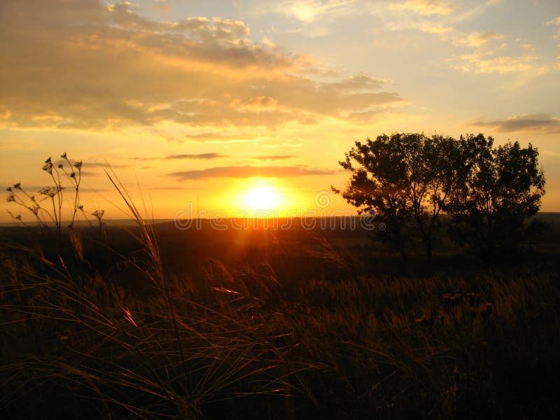 Sunset over the flatland stock photo. Image of evening - 234273152
