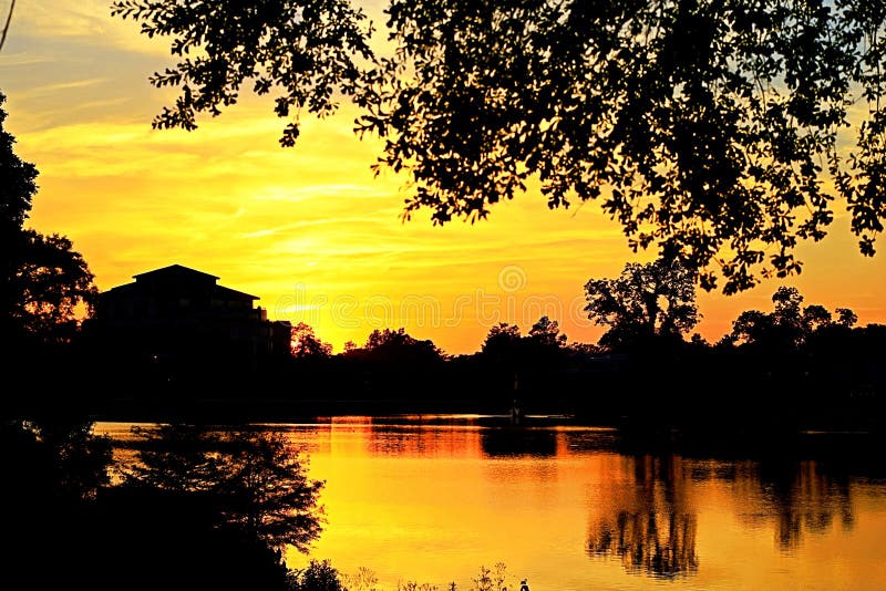 1,230 Bayou Silhouette Stock Photos - Free & Royalty-Free Stock Photos ...